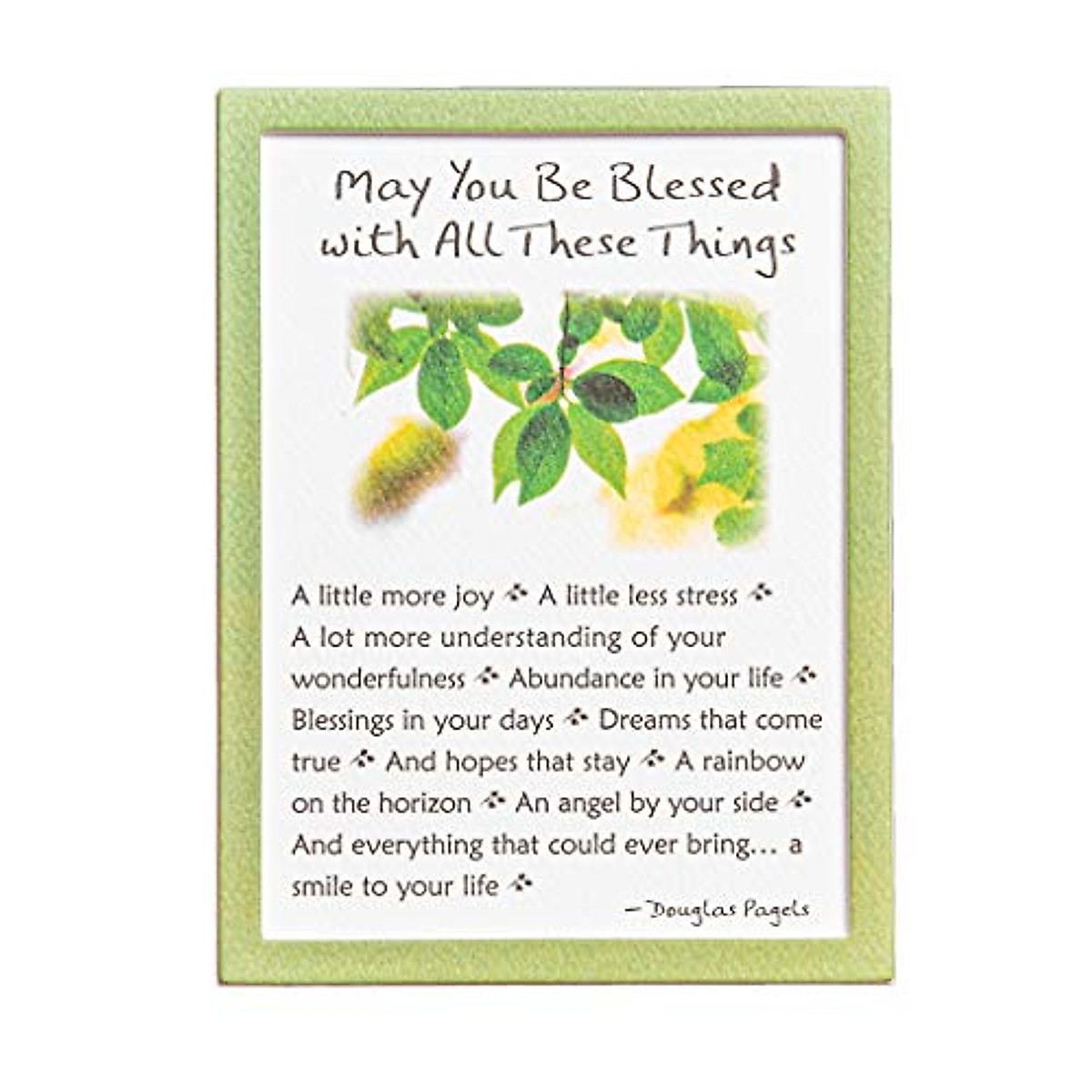 Blue Mountain Arts Encouragement Magnet with Easel Back—Birthday, Wishing You Well, or Just Because Gift by Douglas Pagels, 4.9 x 3.6 Inches (May You Be Blessed with All These Things)