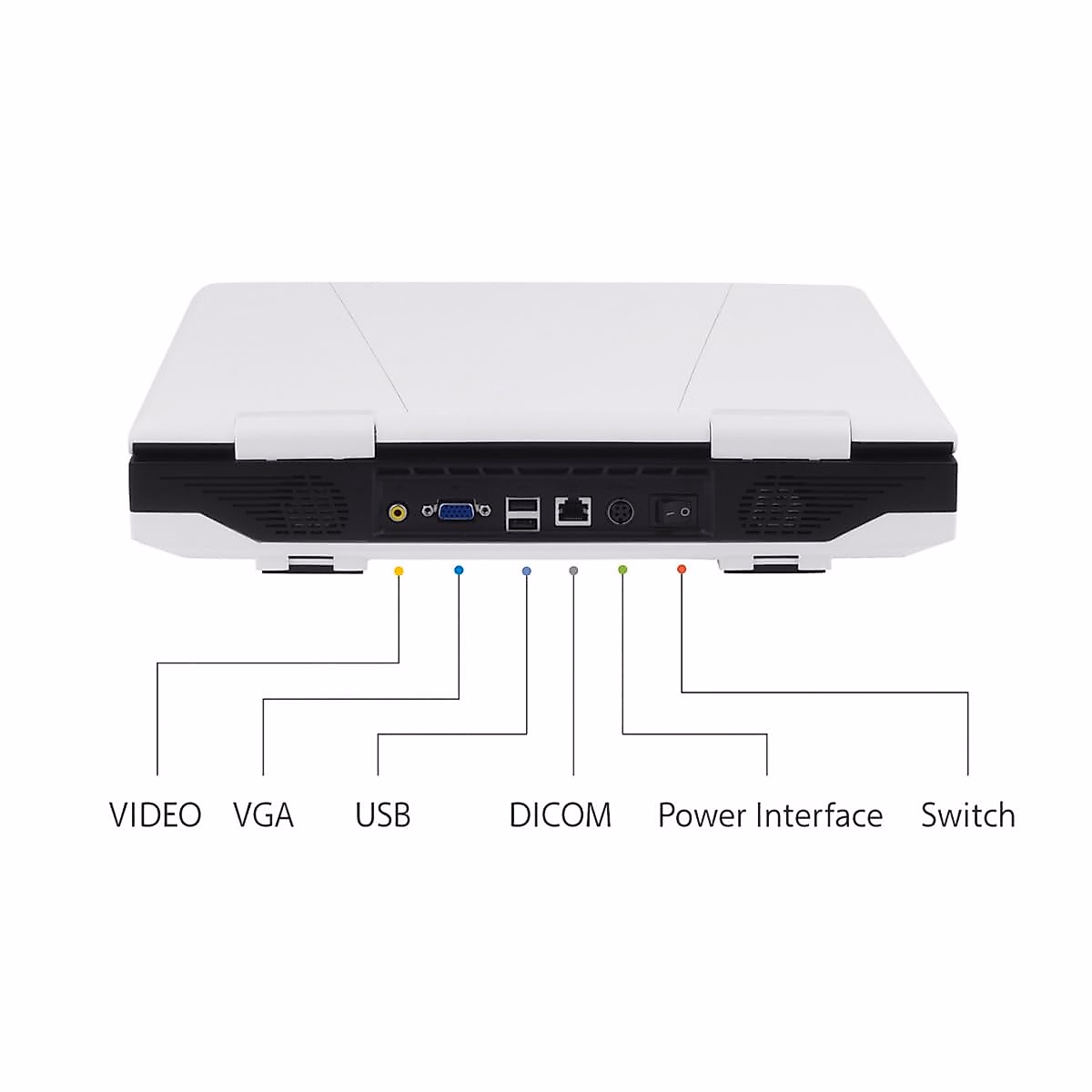 Ruisheng N50 Laptop Vet Ultrasound Machine 15" Large HD LCD Screen with Two Probe sockets for Veterinary Pregnancy use Standard with 3.5 MHz Convex Probe for pet Pregnancy use