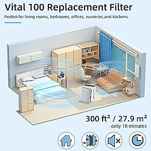 2 Pack Vital 100 Replacement Filter Compatible with LEV.OIT Vital 100, H13 True HEPA High-Efficiency Activated Carbon Vital 100 Filter,Part # Vital 100-RF