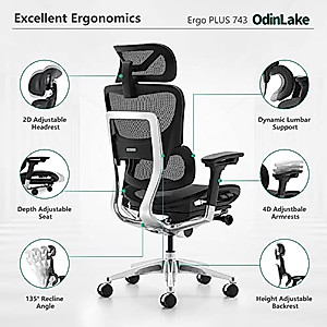 Odinlake Big & Tall Office Chair 500lbs, Heavy Duty Ergonomic Mesh Chair, High Back Swivel Computer Chair with Lumbar Support & 4D Arms，Adjustable Wide Seat Home Desk Chair with Headrest