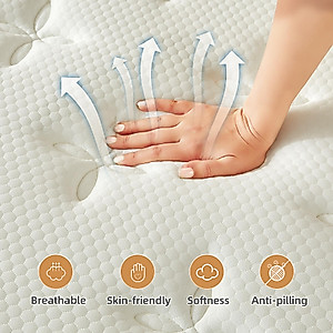 Selene Bedding Queen Mattress, 12 Inch Mattress Queen Size with Pocket Spring and Memory Foam for Pressure Relief, Motion Isolation, Edge Support, Medium Firm Mattress in a Box, CertiPUR-US, White