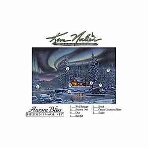 Aurora Bliss by Kim Norlien 22x28 Northern Lights Winter Log Cabin Night Stars Snow Lake Framed Art Print Picture