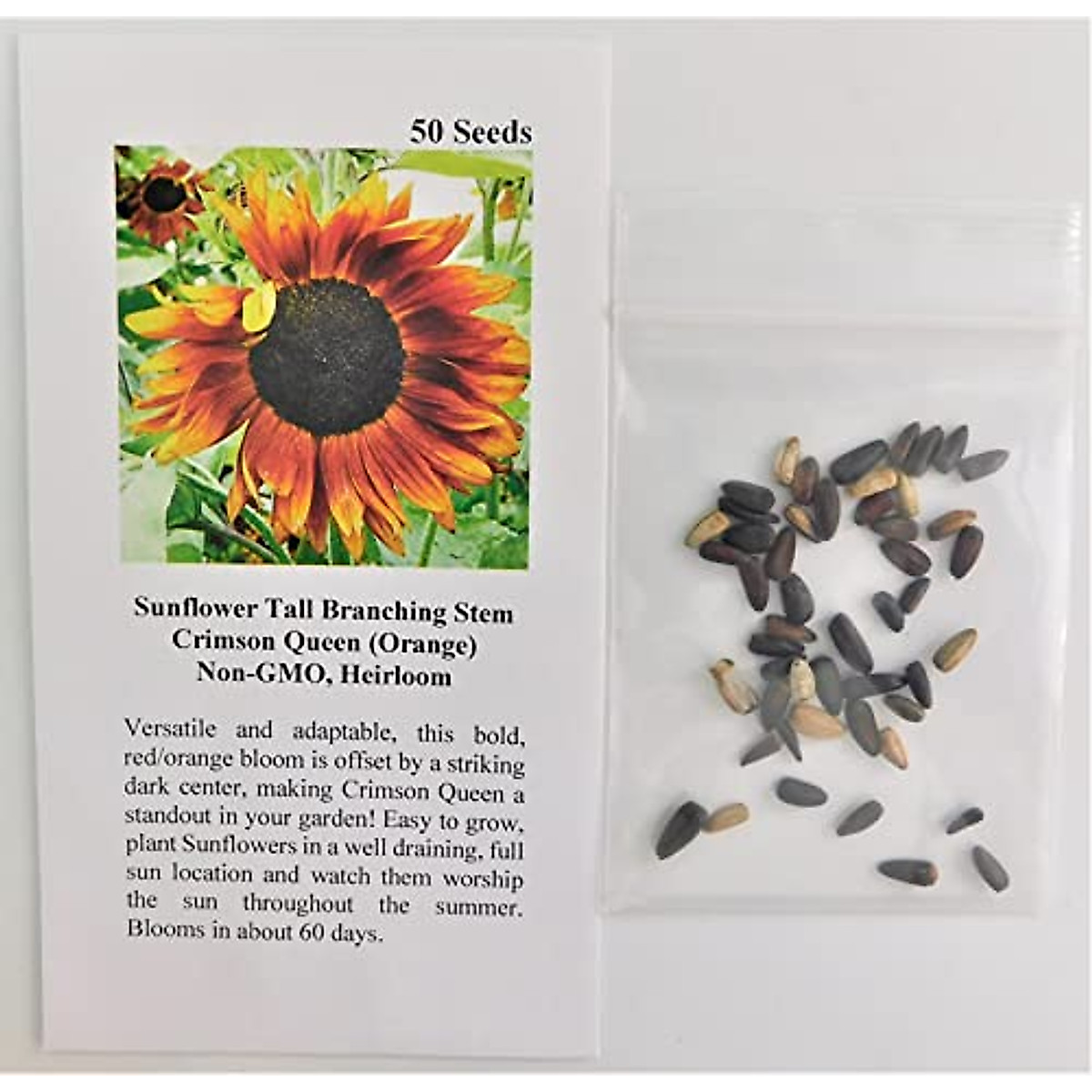 David's Garden Seeds Sunflower Tall Branching Stem Crimson Queen 9328 (Orange) 50 Non-GMO, Heirloom Seeds