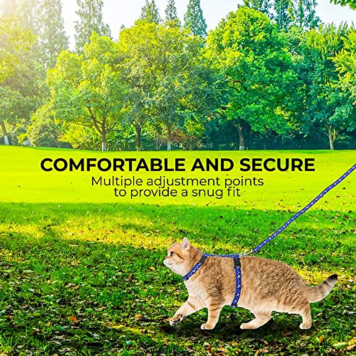 Cat Harness with Leash, 3-Pack, Unique Stars Moon and Paw Heart Design, Escape Proof, Walking, Small Medium Large, Black, Red, Blue, Adjustable, Safe, Set of 3