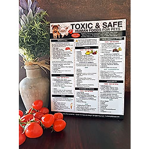 TLC Safety By Design Premium 8.5” x 11” Magnet Toxic Harmful and Safe Foods for Pets Fridge Safety Dogs Cats Poison Emergency Large Format Veterinarian Approved (Qty. 1)