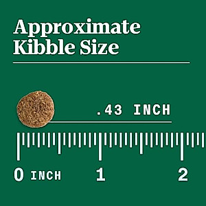 NUTRO Limited Ingredient Diet Adult Dry Dog Food Venison Meal & Sweet Potato Dog Kibble, 22 lb. Bag