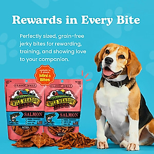 Wild Meadow Farms - Classic Salmon Bites, Soft Jerky Treats for Dogs, Grain-Free & All-Natural, Ideal for Training, Portioning, and High-Value Rewards for All Breeds & Ages - 3.5 Ounce Pouch