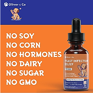 Natural Yeast Infection Treatment for Dogs | Helps to Support Itch Relief, Scratching Relief & Much More | Ear Infection Treatment for Dogs | Dog Ear Infection Treatment | 1 fl oz