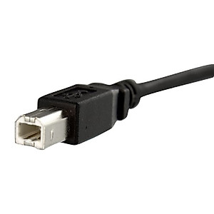 StarTech.com 1 ft Panel Mount USB Cable B to B - F/M - USB Type B (F) to USB Type B (M) - USB 2.0 - Molded Hood - Black (USBPNLBFBM1)