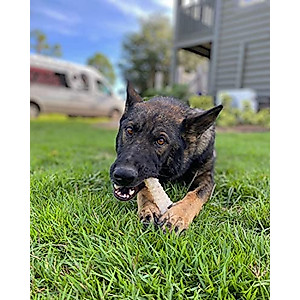 Nylabone Power Chew Textured Femur Bone Chew Toy for Dog, Indestructible Dog Toys for Aggressive Chewers Large Breed, Beef Flavor, X-Large/Souper (1 Count)
