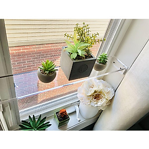Elegant and Sophisticated Floating Window Shelf (29.5", Double Shelf) - Crystal Clear Recessed Durable Strong Acrylic Trinket, Plants and Succulents Indoor Collection Display Stand Trendy Modern