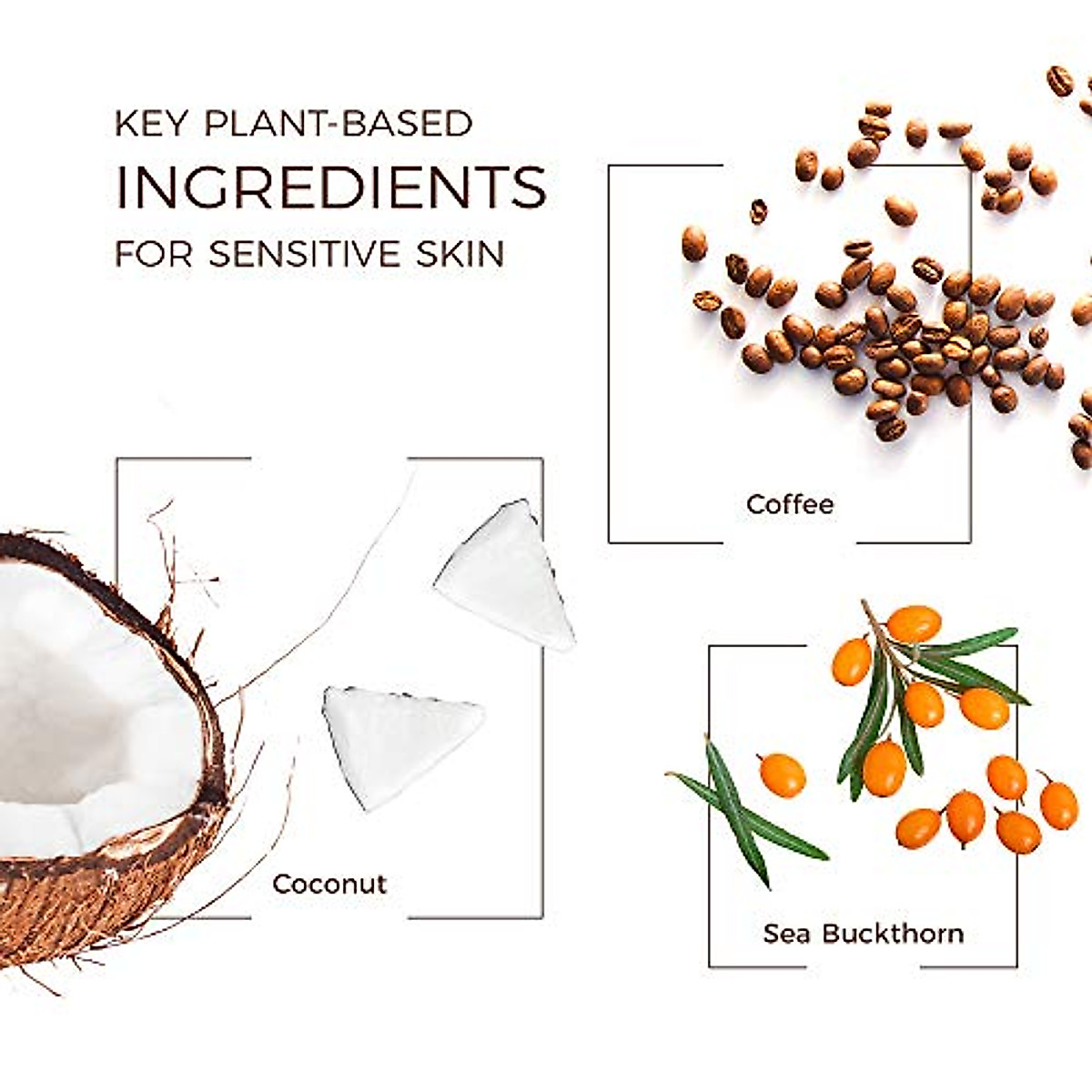 Babo Botanicals Daily Sheer Mineral Tinted Sunscreen Stick SPF50 - Natural Zinc Oxide - For Face - For all ages - EWG Verified - Water Resistant - Fragrance-Free