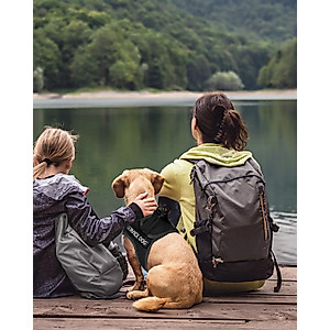 FAYOGOO Service Dog Vest for Small Breed - Lightweight Dog Harness with 6PCS Removable Patches - Puppy Harness and Leash Set for Walking,Training