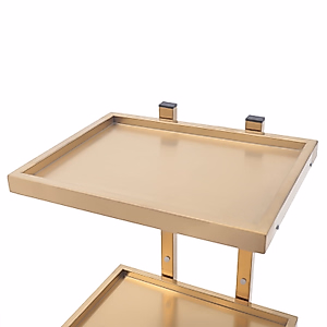 Xuthusman 2-Tier Foldable Tray Trolley Salon 4-Wheel Rolling Cart Utility Storage Shelves Holder with Service Tray Stainless Steel (Gold)