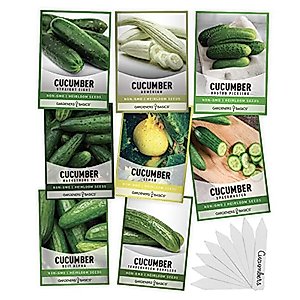 Cucumber Seeds for Planting Outdoors 8 Variety Pack Burpless Tendergreen, Beit Alpha, Marketmore 76, Armenian, Boston Pickling, Lemon, Spacemaster, Straight Eight Veggie Seeds by Gardeners Basics