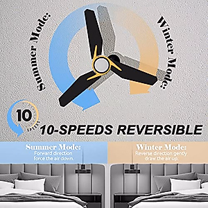 SMAAIR Smart Ceiling Fan with light, 3 Blades Black Outdoor Ceiling Fan with DC Motor,10-Speed,1-8 Hours Timer Schedule, Compatible with Remote Control/Alexa/Google Home/Siri (48", Black/Gold)