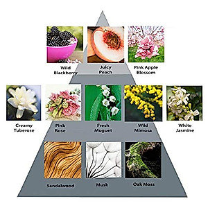 Perry Ellis 360° Purple Body Mist, 8 Ounce