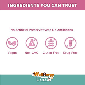 Wellnergy Pets Soothing Balm for Dogs - Natural Paw Protection and Skin Soother for Dry Paw Pads and Noses - Vet Formulated Elbow Butter and Dog Foot Cream - Dog Snout Balm and Dog Feet Moisturizer