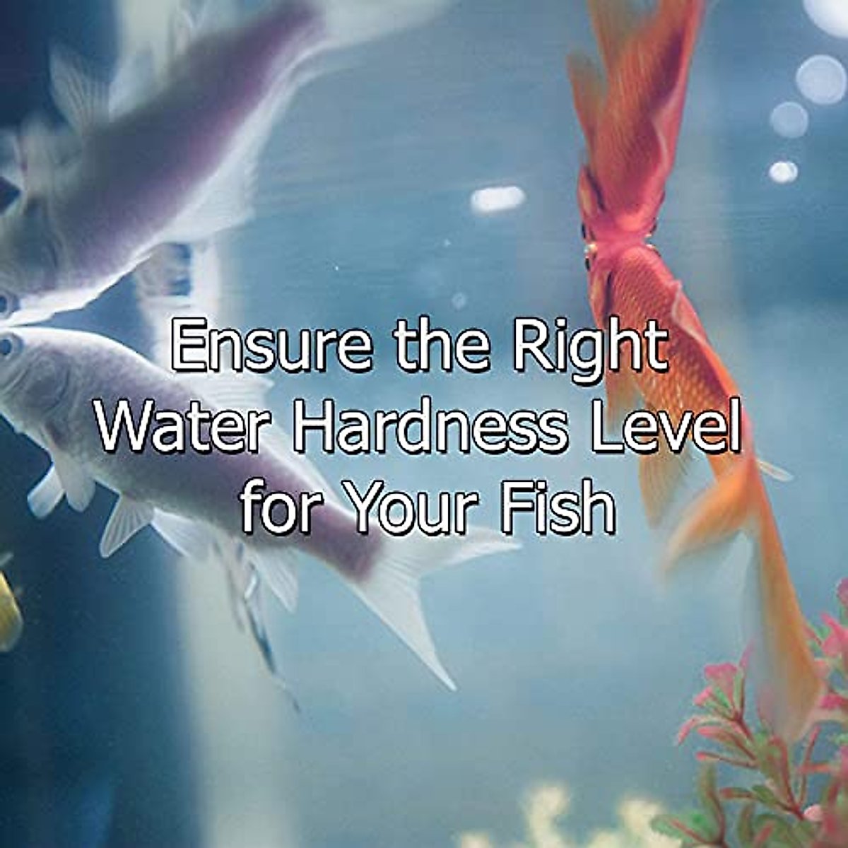 Total Water Hardness Test Strips. Each Strip Best and Reliable for Home Testing Pool, Spa, Aquarium, Drinking Water, Well. Easy to Compare Color Chart. Dip for Quality Accurate Results in Seconds.