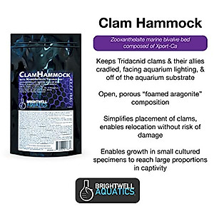 Brightwell Aquatics Clam Hammock - Zooxanthellate Marine Bivalve Bed Composed of Xport-Ca