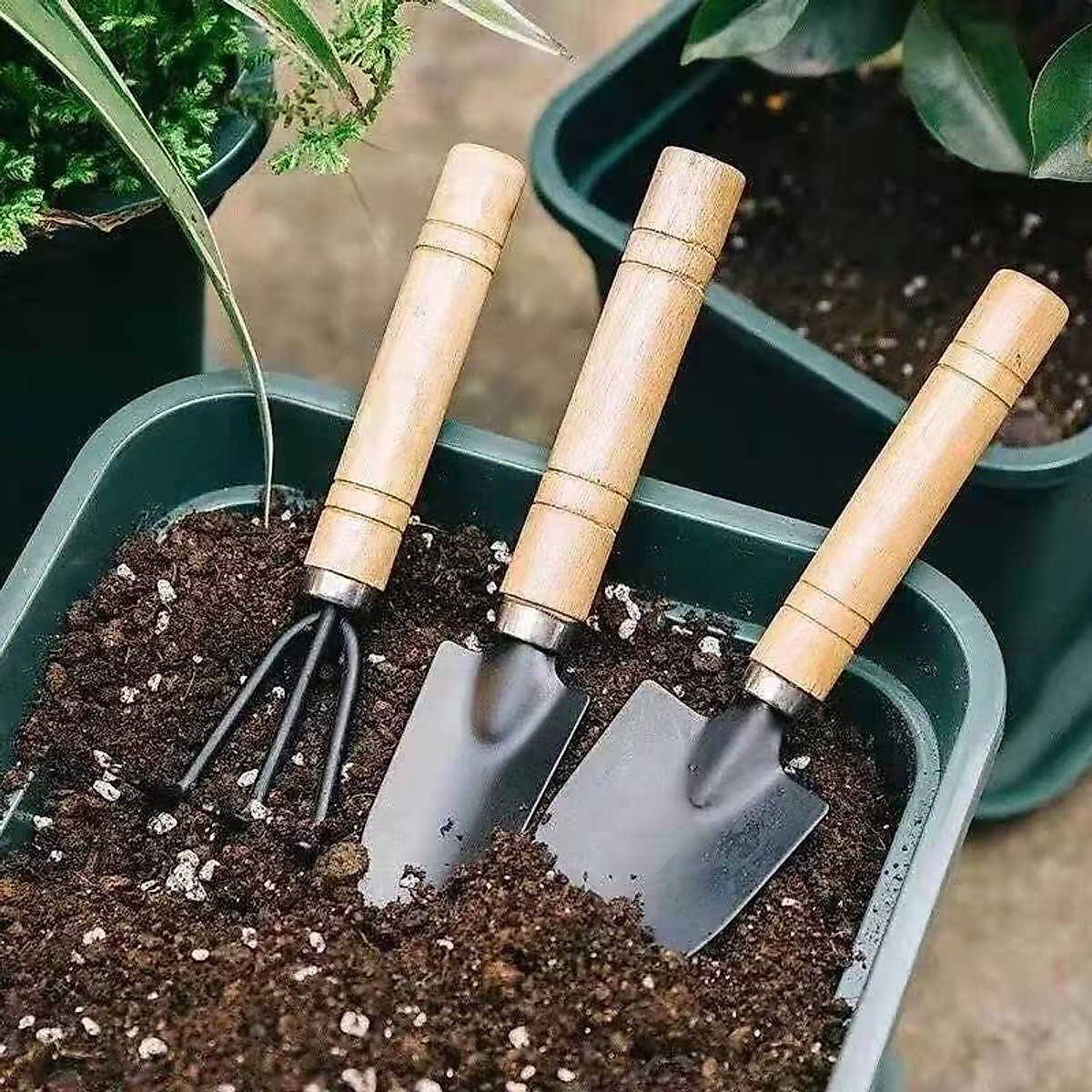 3Pcs Succulent Tools, This Tool Set is Especially Suitable for Office Gardening, Desktop Gardening and Indoor Bonsai,It Helps You All Kinds of Small Potted Plants，Meets Your Gardening Needs