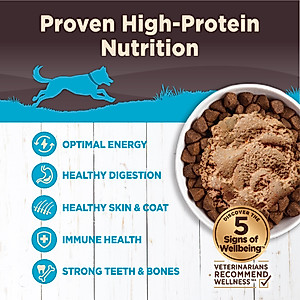 Wellness CORE Natural Wet Grain Free Canned Dog Food, Whitefish, Salmon & Herring, 12.5-Ounce Can (Pack of 12)