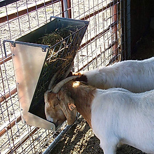 Little Giant Classic Heavy-Duty Galvanized Metal 2-in-1 Goat and Sheep Feeder (2 Pack)