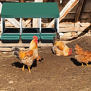 Therwen Chicken Roll Out Nesting Boxes Egg Laying Box with 3 Compartment 6 Pcs Automatic Poultry Nipples 3 Pcs Washable Nesting Box Pads 3 Pcs Fake Eggs and Gloves for Chicken and Poultry House