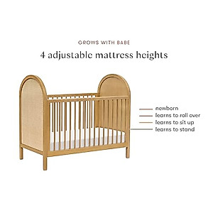 babyletto Bondi Cane 3-in-1 Convertible Crib with Toddler Bed Conversion Kit in Honey with Natural Cane, Greenguard Gold Certified