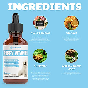 Puppy Vitamins | Puppy Supplements | Puppy Vitamins for Small Dogs | Puppy Vitamins Large Breed | Puppy Multivitamin | Puppy Vitamins and Supplements | Liquid Puppy Vitamins | 1 fl oz: Bacon Flavor