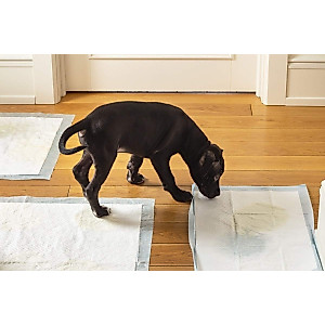 Rabbit Pee Pads, Disposable Super Absorbent Diaper, Pet Toilet/Potty Training Pads for Guinea Pigs, Hedgehog, Hamsters, Chinchillas, Cats, and Other Small Animals (33×45CM-100 Counts)