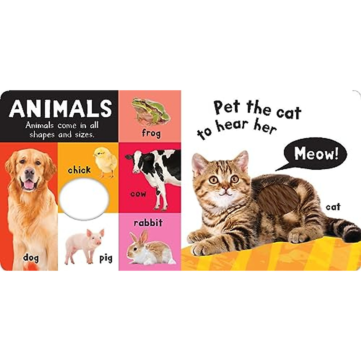 Noisy First Words: Includes Six Sounds! (My First)