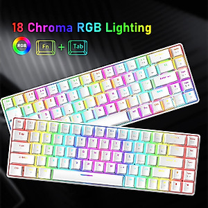 Compact 60% Mechanical Gaming Keyboard and Mouse Combo with Ergonomic Anti-ghosting 68 Key Rainbow RGB Backlight 6400DPI Honeycomb Mice Type-C Wired for PC Mac Gamer Office Typist(White/Blue Switch)