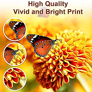 HNGT for Brother LC400 Ink Cartridge Replacement for MFC-J6910CDW J6710DW J5910CDW J825N J955DN J955DWN J705DW J825DW J625DW J432W J430W J6910DW J6710DW J5910DW 1 Pack