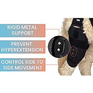 Labra Dog Canine Knee Stifle Brace Wrap, Metal Splint Hinged Flexible Support Brace for K9 ACL, CCL, Luxating Patella, Cruciate Ligament Sprains in Back, Rear, Hind Leg (Extra Large - 75-100lbs)