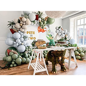 Woaipati Retro Avocado Green Balloon Garland Arch Kit Double-Stuffed Baby Blue Balloons Olive Balloon and Gold Metallic Chrome Latex Balloons Set for Wedding Birthday Balloons Baby Shower Decorations