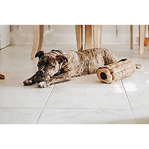 ZippyPaws Burrow, Woodland Friends Chipmunks 'n Log - Interactive Dog Toys for Boredom - Hide and Seek Dog Toys, Colorful Squeaky Dog Toys for Small & Medium Dogs, Plush Dog Puzzles