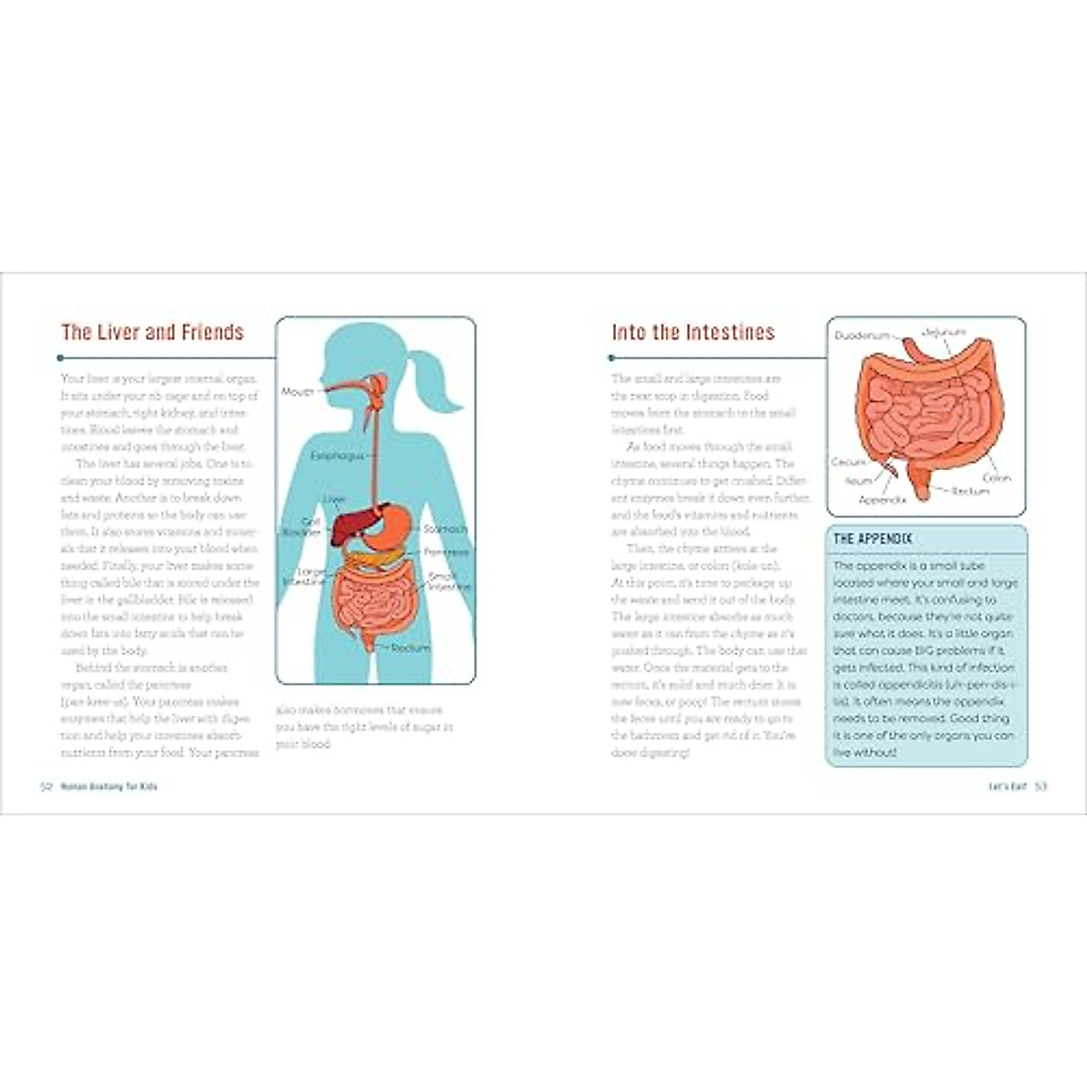 Human Anatomy for Kids: A Junior Scientist's Guide to How We Move, Breathe, and Grow