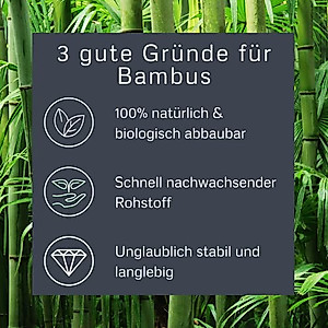 Alcott Bamboo Groom Palm Brush with Boar Bristles for Pets