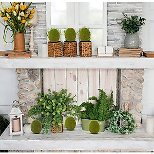 6 Easter Green Mossy Eggs Spring Decor Artificial Fuzzy Flocked Moss Balls Decorative Holiday Furry Covered Egg for Indoor Home Kitchen Table Shelf Bowl Decorations & Outdoor Garden Yard Potting Craft