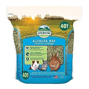 Oxbow Animal Health Alfalfa Hay - All Natural Hay for Young, Pregnant, or Nursing Small Pets - 40 oz.