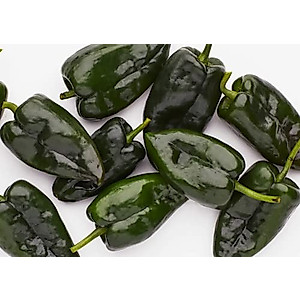 Poblano Ancho Grande Hot Chile Pepper Seeds for Planting, 50+ Heirloom Seeds Per Packet, (Isla's Garden Seeds), Non GMO, Botanical Name: Capsicum annuum, Great Home Garden Gift