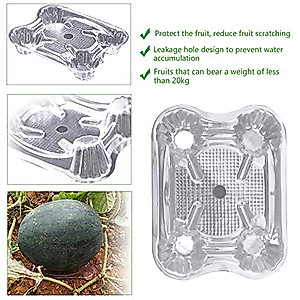 kemengsuer 100 Pieces Plastic Melon Cradle, Fruit & Vegetable Cradle Stands, Holds up to 20 lbs, Clear Plastic Melon Support Cradle for Keep Watermelon Off of The Ground(13.5 x 10.5cm/5.11 x 4.13inch)