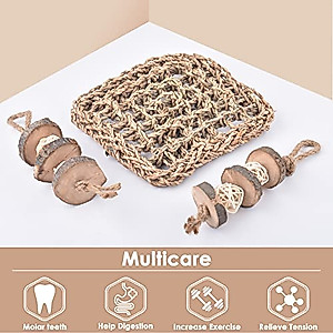 Bissap Seagrass Protector Mat with Treats, Rabbit Chews and Play for Bunny Chinchilla Guinea Pigs or Other Rodent Pets Hanging Chewing Toys