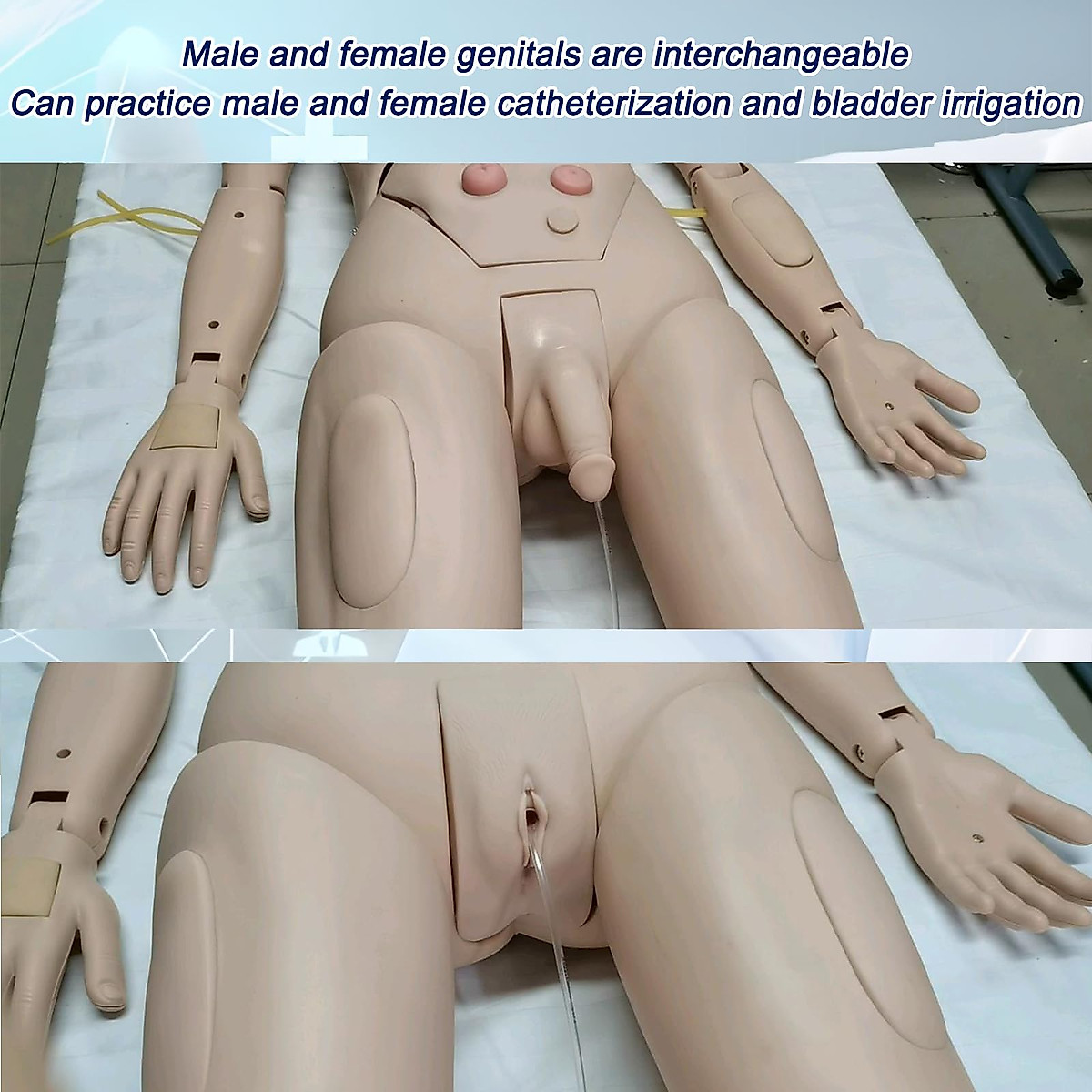 MZBZYU 5.7ft Life Size Patient Care Manikin Training CPR Simulator Basic Geri Nursing Skills Geriatric Human Model Mannequin Full Body for Students Education Teaching Medical Training Skills