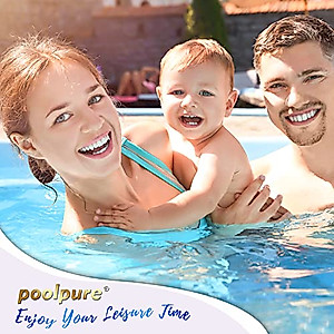 TOREAD PDM28 Spa Filter Replaces Aquarest Dream Maker 461273 Hot Tub Filter 2PACK