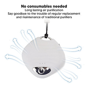 Zerodis Air Purifier Necklace, 5V Portable Ionizer Rechargeable Ion Air Purifier Simple to Use Air Filter Device Necklace Purifier for Home Car with USB Cable 2x2x0.6inch