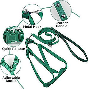 ASOCEA Adjustable Feather Tether Bird Harness and Leash for Macaw Cockatoos Amazon Parrot Medium to Large Breed Parrots Fits Birds Chest Between 33-50cm/13-19.7inch - M