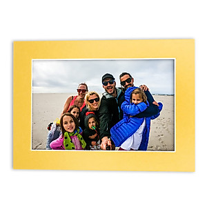 Pack of 25 Acid Free 16x20 Mats Bevel Cut for 14x16 Photos - Metallic Gold Precut Matboards With Backing Boards and Clear Photo Mat Bags For Pictures, Photos, Framing - 4-ply Thickness