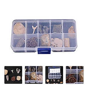 Hemobllo Fossil Specimens Collection Set, 10PCS Paleontology Fossil Specimens, Trilobite Amber Fossil Educational Science Kits, Creative Science Decoration Stone